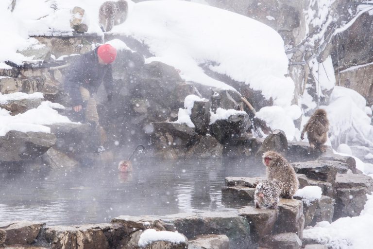 Plan Your Japanese Alps Itinerary