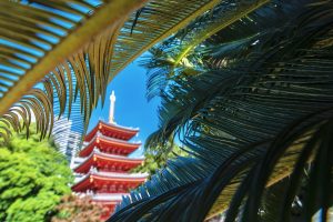 The Ultimate Kyushu Travel Guide