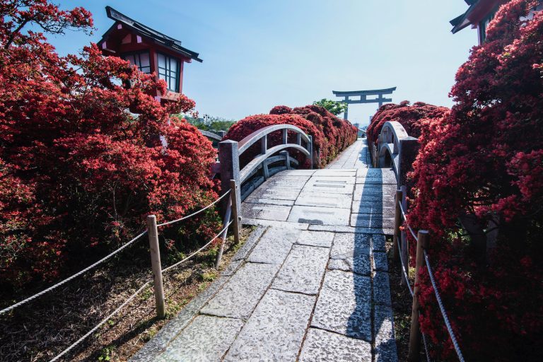 Why You Should Consider Visiting Japan in May