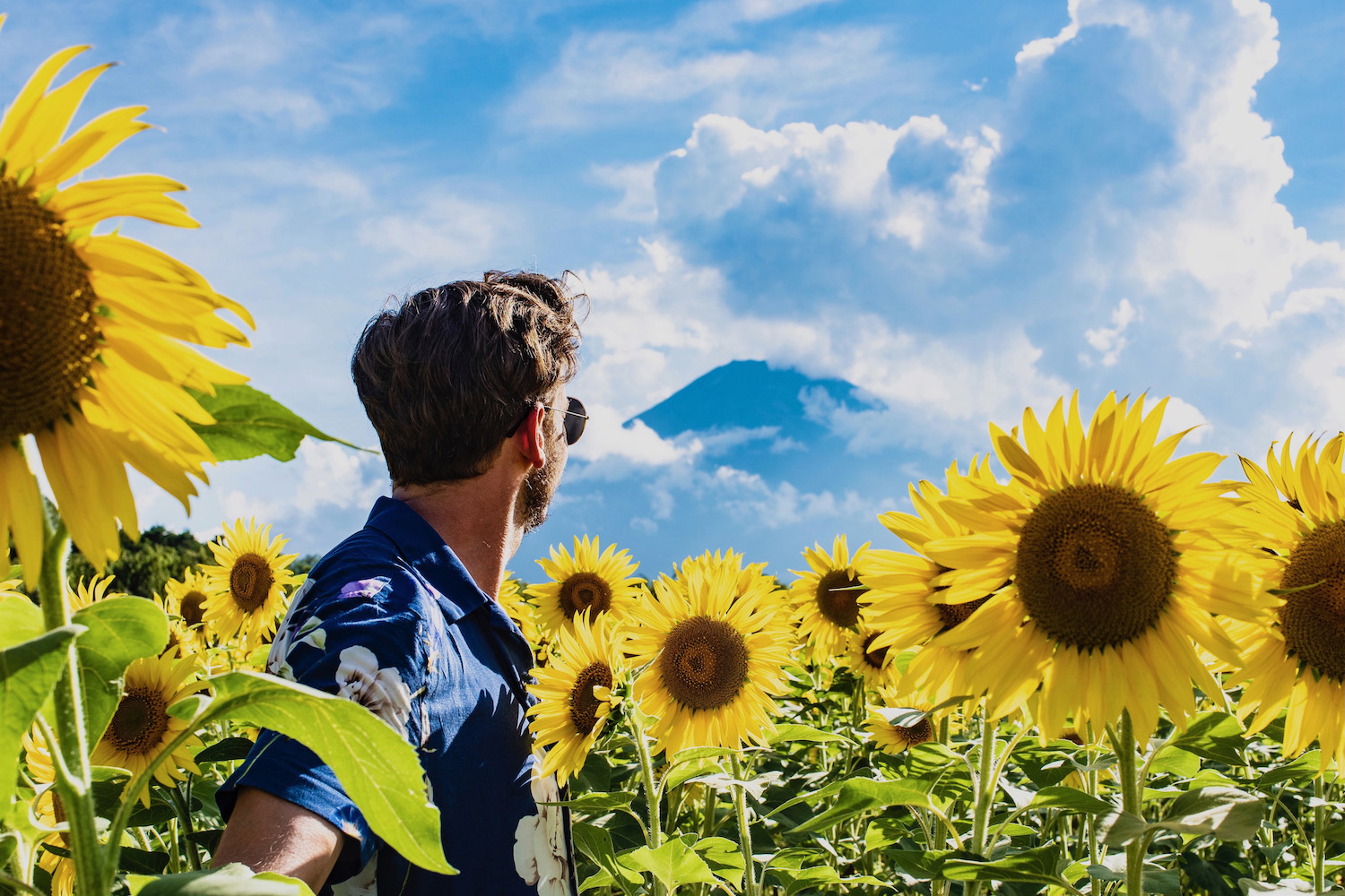 Why I Took a Trip to See the Summer Festivals (Matsuri) of Japan