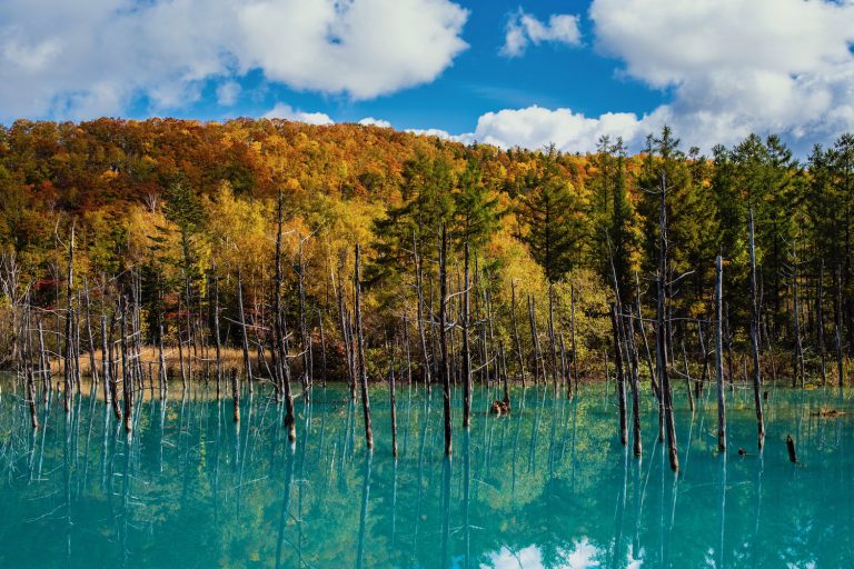How (and Why) to Visit Hokkaido's Mesmerizing "Blue Pond"