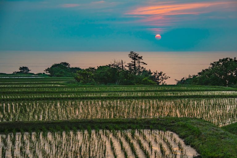 The Ultimate Niigata Travel Guide